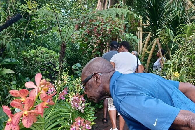 Exclusive Private Tour by a Singaporean Guide - What Travelers Say