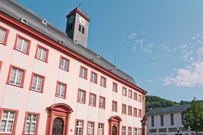 Exclusive Private Tour of Heidelberg. - Exploring Heidelberg: A Private Tour Review