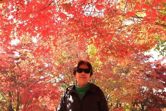 Exclusive Private Trip to Mt Seorak & East Sea!! - The Sum Up