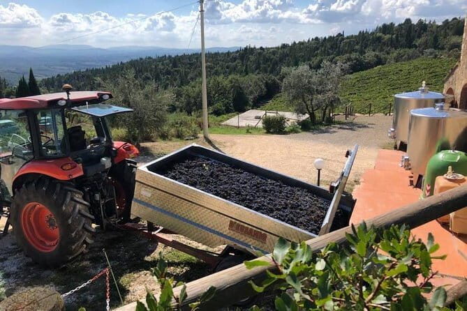 Exclusive Private Tuscany Wine Tour & Food Pairing Session - A Detailed Look at the Tour Experience