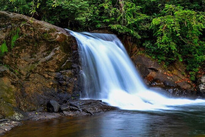 Exclusive Rainforest Tour Capped with a Refreshing Waterfall Dip - In-Depth Breakdown of the Itinerary