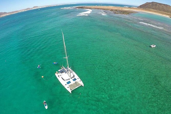 Exclusive Sailing Catamaran Experience to Lobos Island with lunch and drinks - The Experience: What You Can Expect
