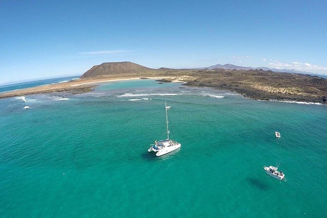 Exclusive Sailing Catamaran Experience to Lobos Island with lunch and drinks - Who Will Love This Tour?