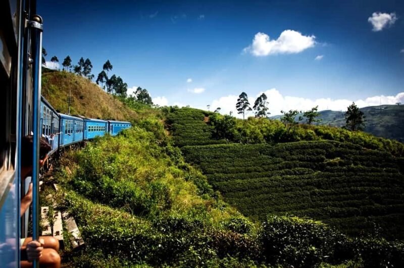 Exclusive: Scenic Train Ride & Horton Plains Private Tour - Key Points
