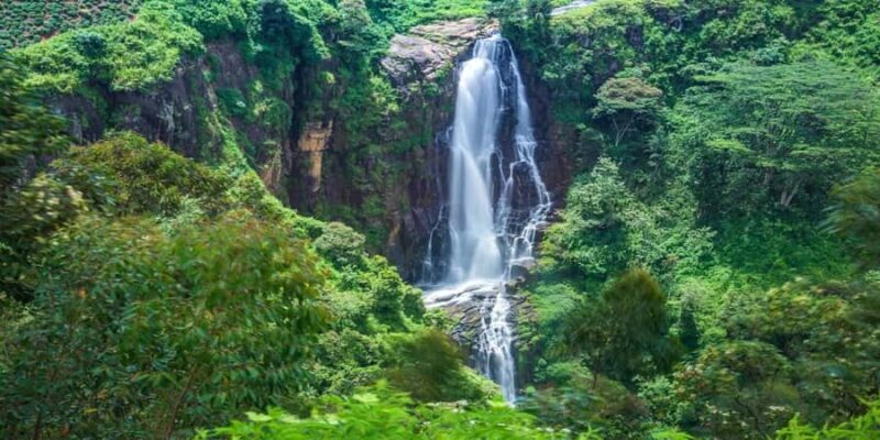 Exclusive: Scenic Train Ride & Horton Plains Private Tour - The Itinerary Breakdown