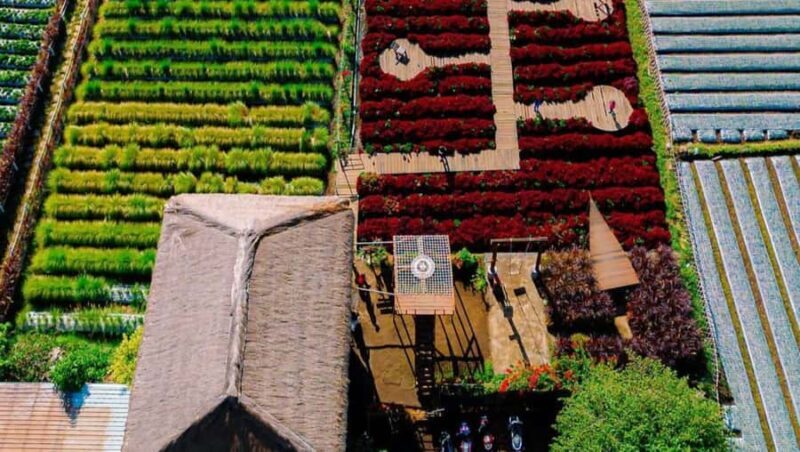 Exclusive Sembalun One-Day Tour: Nature and Scenic Wonders - The Experience and Authenticity