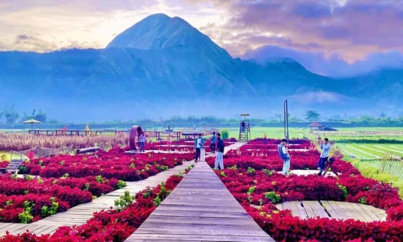 Exclusive Sembalun One-Day Tour: Nature and Scenic Wonders - The Sum Up