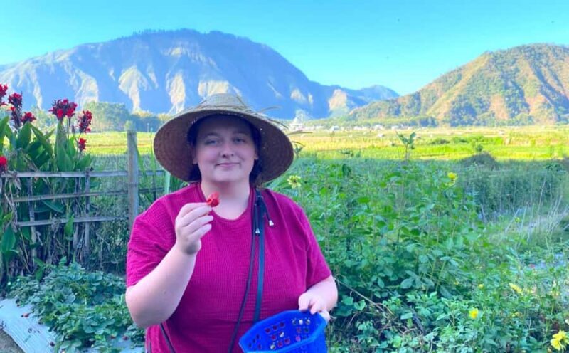 Exclusive Sembalun One-Day Tour: Nature and Scenic Wonders - FAQs