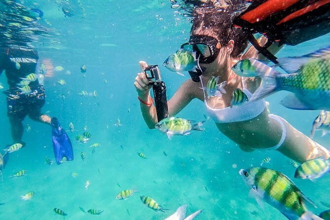 Exclusive Similan Island by Speed Boat - Who Should Consider This Tour?