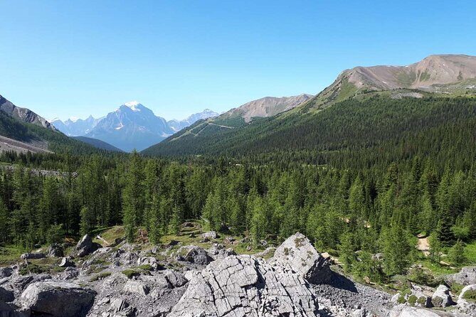 Exclusive Skoki Backcountry Guided Hiking in Lake Louise with Van Shuttle - A Deep Dive into the Experience