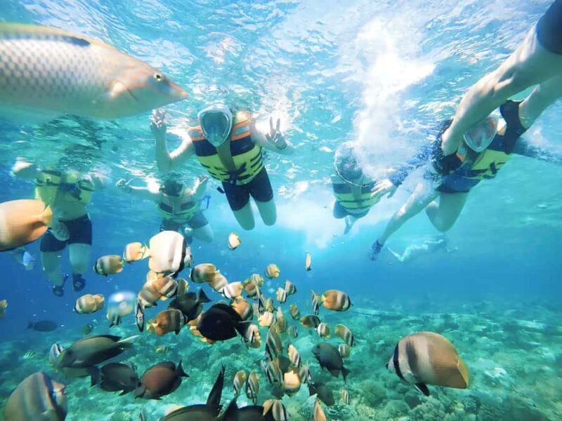 Exclusive Snorkeling Tour to Lombok's Pink Beach and 3 Gilis - Key Points