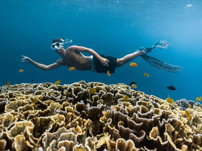 Exclusive Snorkeling Tour to Lombok's Pink Beach and 3 Gilis - Who Should Consider This Tour?