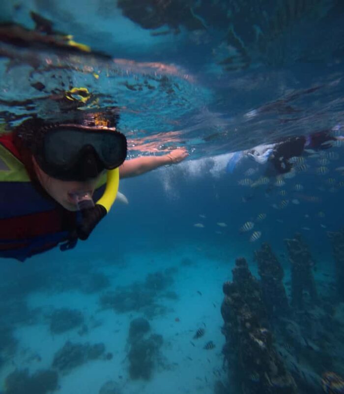 Exclusive Snorkeling trip Gili Terawangan Meno and Air - Key Points