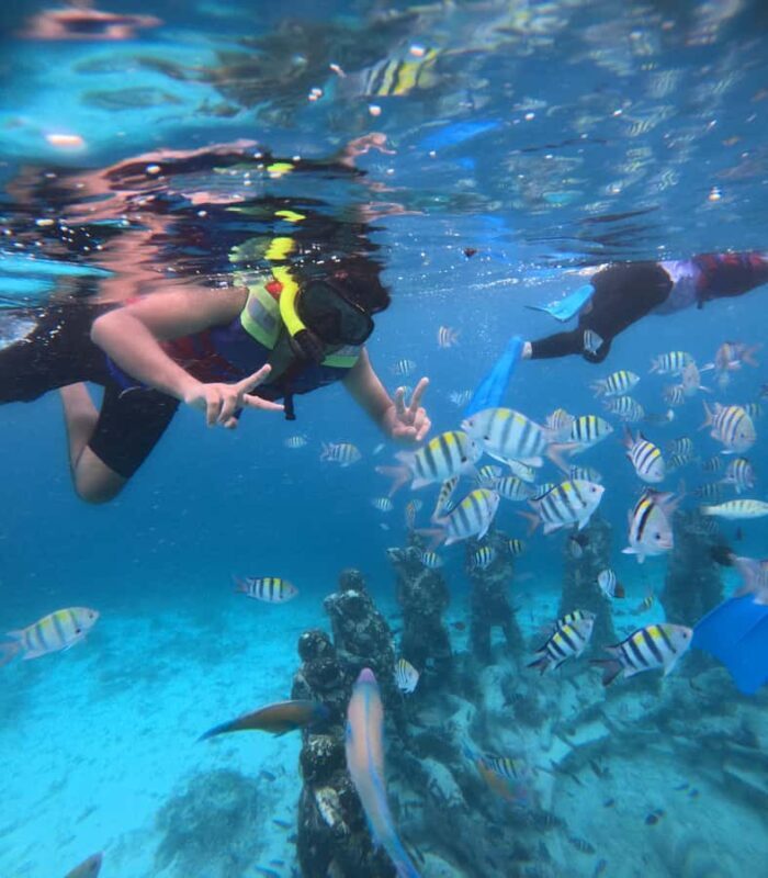Exclusive Snorkeling trip Gili Terawangan Meno and Air - Introduction: What Makes This Snorkeling Trip Stand Out?