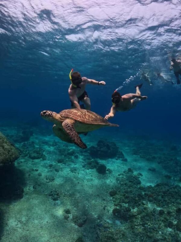 Exclusive Snorkeling trip Gili Terawangan Meno and Air - The Value Proposition