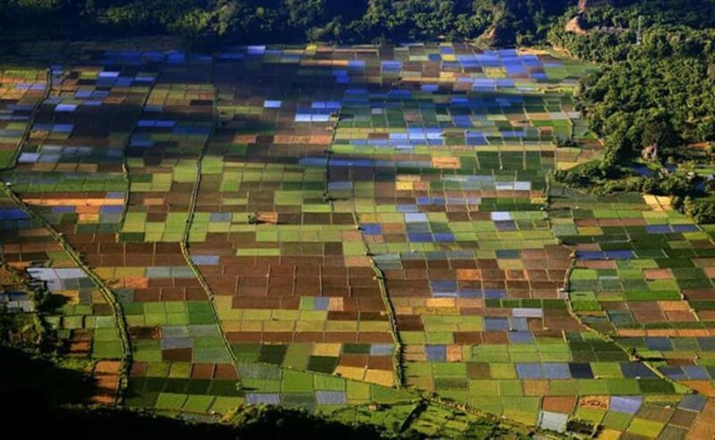 Exclusive Soft Hiking: 2-Day Pergasingan Hill Adventure - The Sum Up: Who Will Love This Experience?