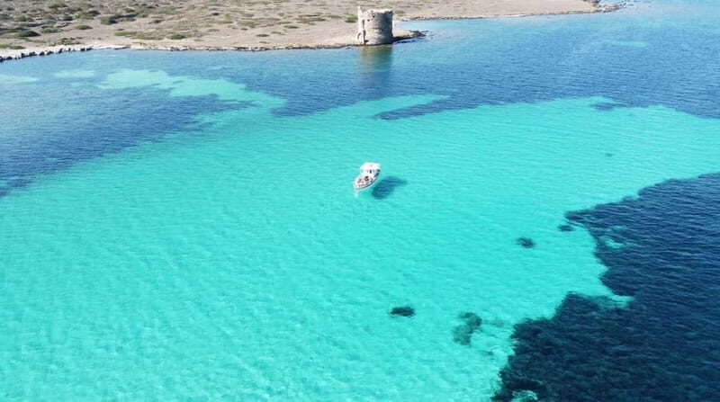 Exclusive sunset boat trip in the Asinara National Park - Key Points