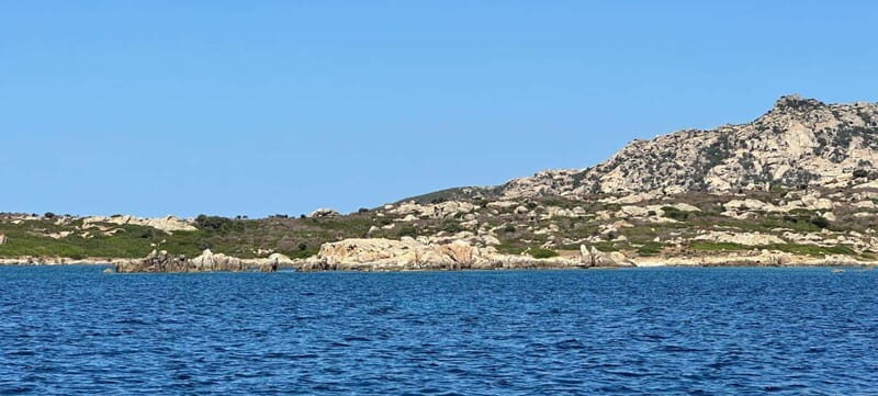 Exclusive sunset boat trip in the Asinara National Park - Discovering the Experience