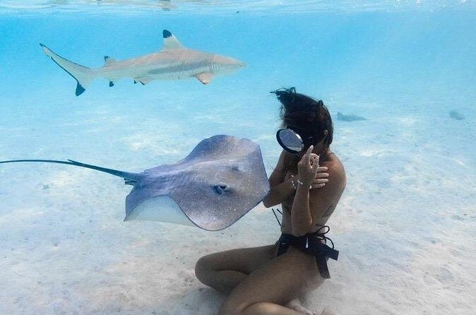 Exclusive sunset excursion in the lagoon Shark rays - FAQ