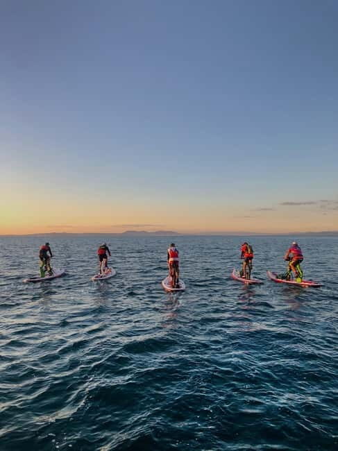 Exclusive sup bike excursion in Mallorca - The Experience: What to Expect from the Water Bike Tour