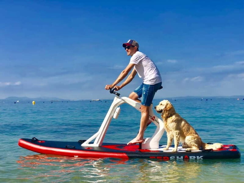Exclusive sup bike excursion in Mallorca - Why This Tour Offers Great Value