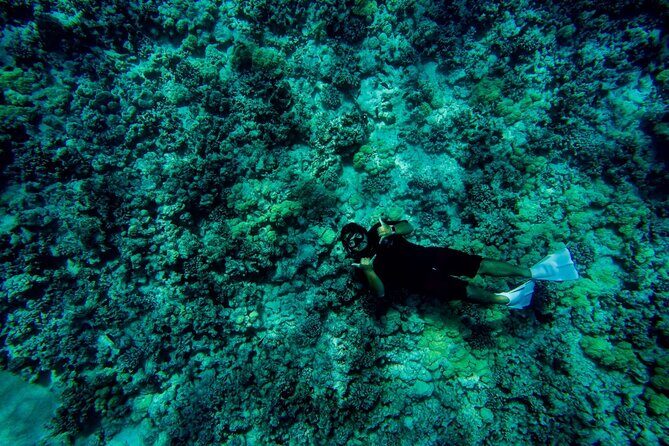 Exclusive Super Raft Kona Snorkel Tour Family Friendly Adventure - What to Expect at Each Stop