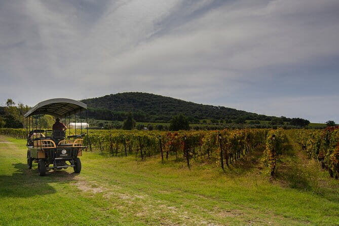 Exclusive Suvereto tour from Florence: Land of Elisa Bonaparte - What Makes This Tour Stand Out?