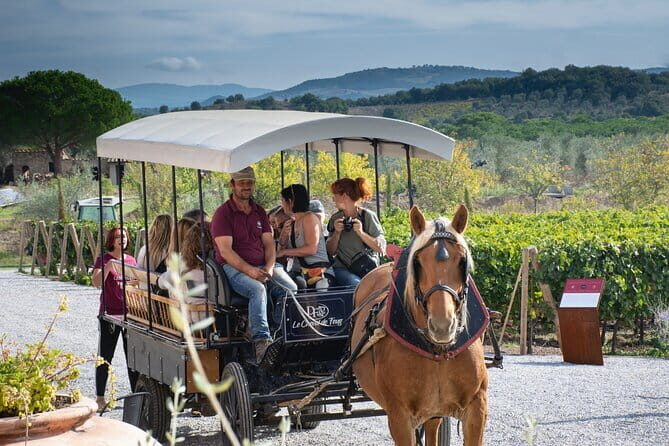 Exclusive Suvereto tour from Florence: Land of Elisa Bonaparte - Key Points