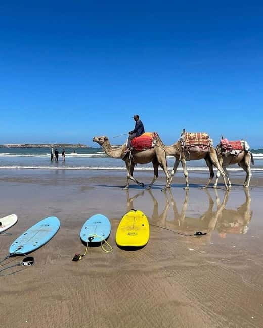 Exclusive Tangier Day Tour from Tarifa To Tanger with Tea - Who Will Love This Tour?