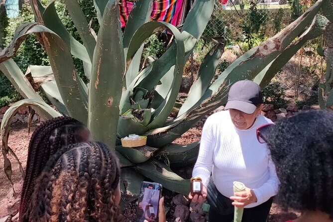 Exclusive Teotihuacán Pyramids, Cave & Hot Air Balloon Ride - A Detailed Look at the Experience