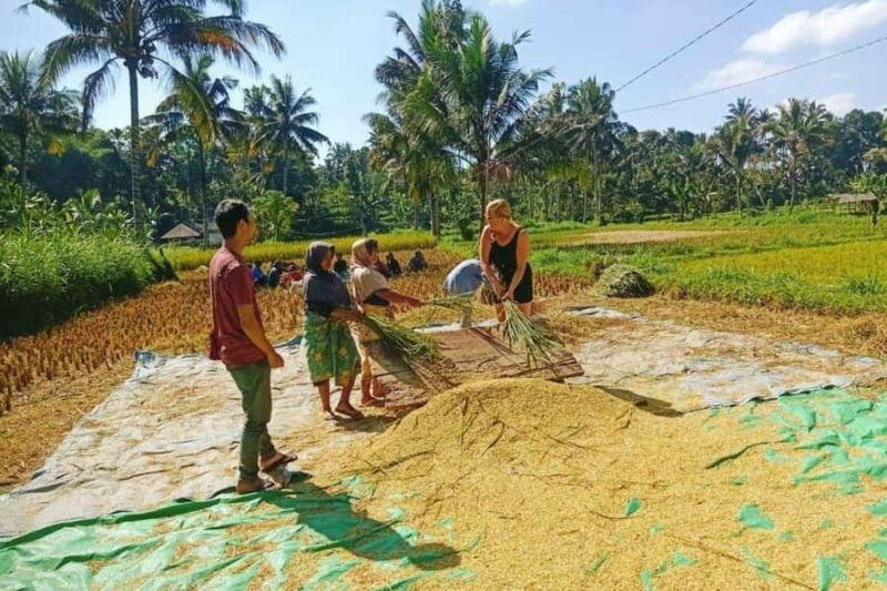 Exclusive Tetebatu: Waterfall, Rice Fields, Monkey & Weaving - Final Thoughts