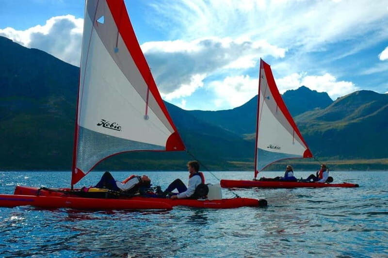 Exclusive to Sommarøy: Half-day guided tour in Hobie sailing kayaks. - Key Points