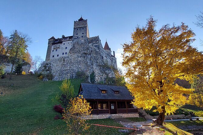 Exclusive Tour: Bran Castle, Brasov and Rasnov fortress from Sibiu - Why Consider This Tour?