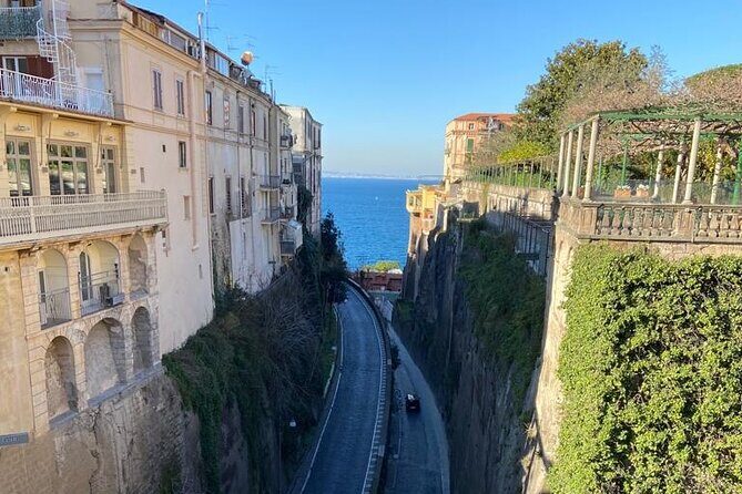 Exclusive tour in Sorrento and Pompeii with transport and tickets - Pricing and Value