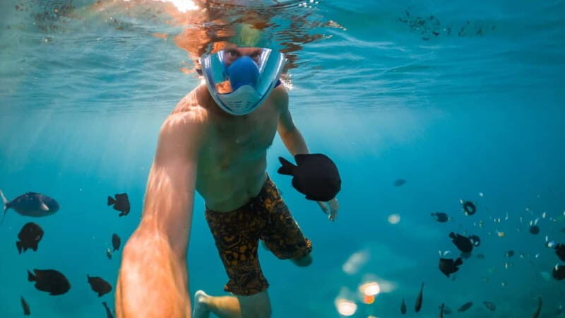 Exclusive tour of Ischia: sail among secret bays, thermal springs, and nature - Key Points