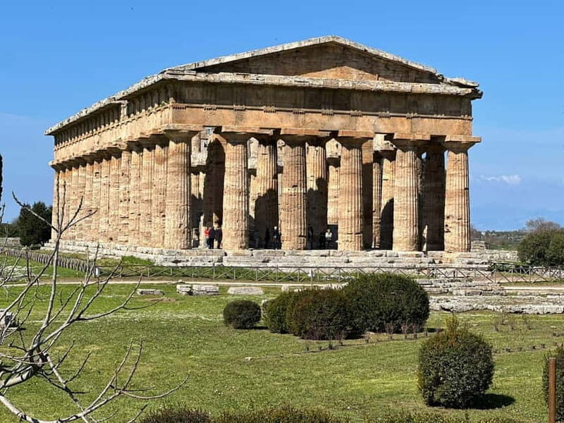 Exclusive Tour: Paestum Excavations and Cheese Factory Visit with Tasting and Lunch - The Cheese Factory Experience