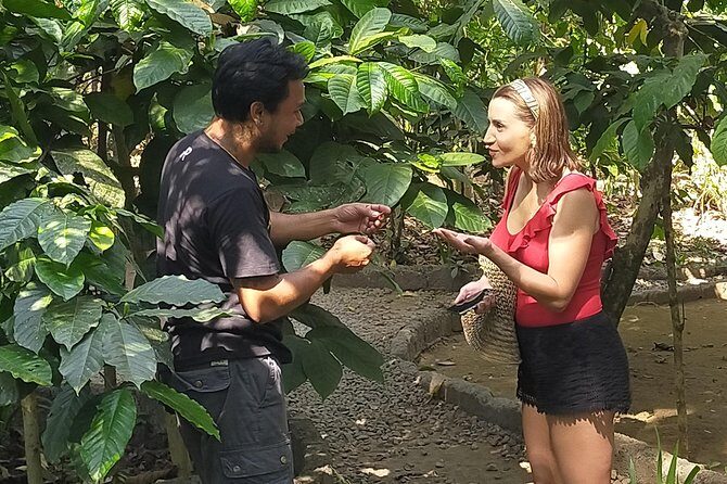 Exclusive Ubud Day Tour - The Experience in Detail