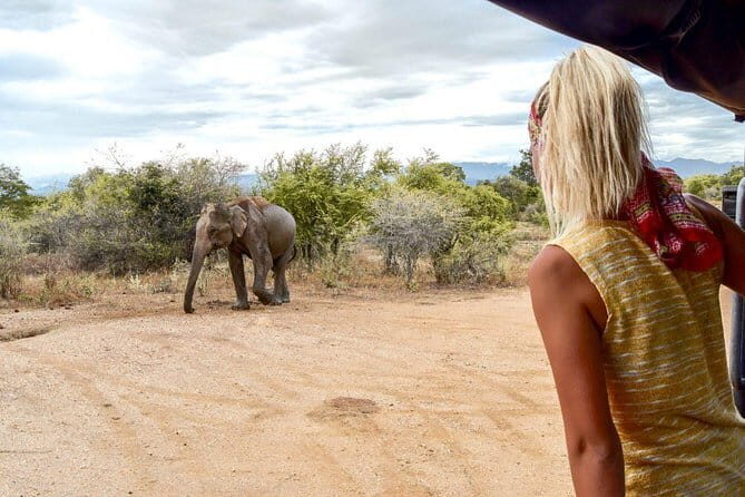 Exclusive : Udawalawe Safari & Elephant Transit Visit with Lunch - Practical Insights for Travelers