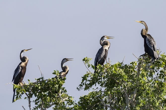 Exclusive : Udawalawe Safari & Elephant Transit Visit with Lunch - Frequently Asked Questions