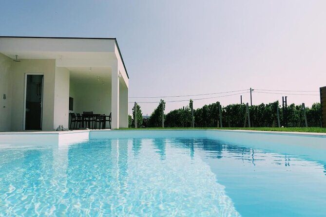Exclusive V.I.P Party All-Included for Bachelor/Stag/Gentlemen - Dining and Refreshments