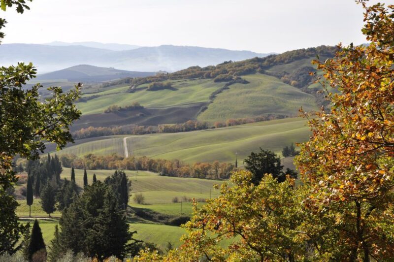 Exclusive Val dOrcia Full-Day Wine Tour from Florence - An In-Depth Look at the Tour Experience