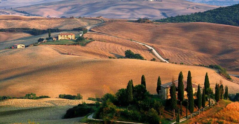 Exclusive Val dOrcia Full-Day Wine Tour from Florence - Who Will Love This Tour?