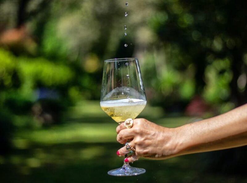 Exclusive Vinho Verde (Green Wine) experience & lunch - Key Points