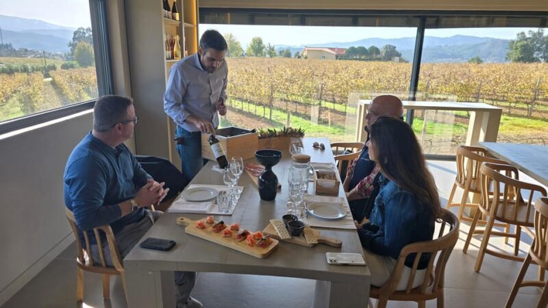 Exclusive Vinho Verde (Green Wine) experience & lunch - Exploring the Itinerary: What You’ll See and Do