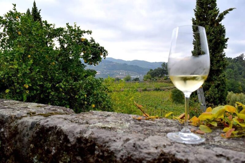 Exclusive Vinho Verde (Green Wine) experience & lunch - Who Will Love This Tour