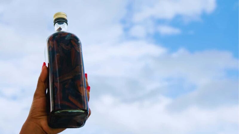 Exclusive VIP Excursion: Santo Domingo from Punta Cana  Private Service - FAQ