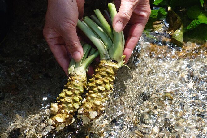 Exclusive Wasabi Harvesting, Soba Lunch and Matsumoto Castle Tour - Final Thoughts