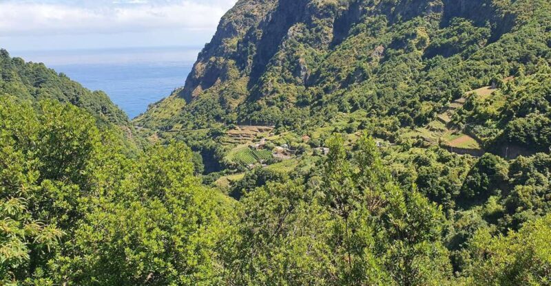Exclusive Wine Tasting Tour in the Wine Region of Boaventura - An Authentic Peek into Madeira’s Hidden Vineyards