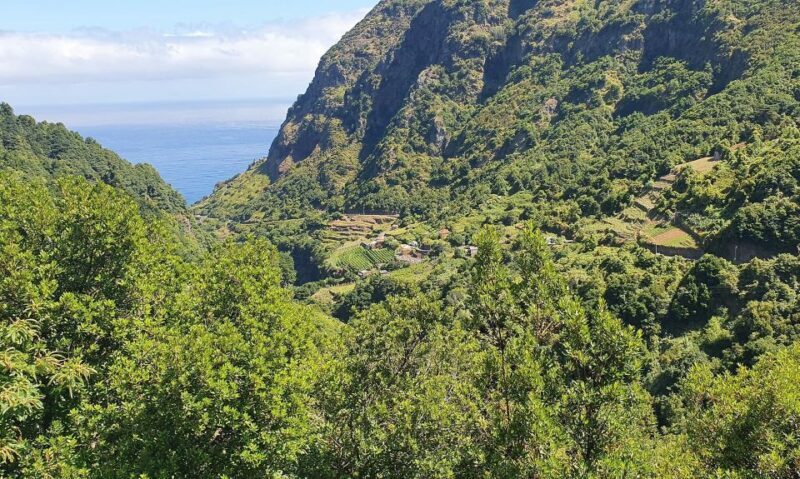 Exclusive Wine Tasting Tour in the Wine Region of Boaventura - Tasting the Flavors of Madeira