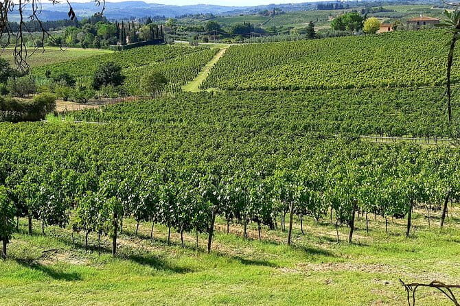 EXCLUSIVE Wine Tour in Chianti & San Gimignano (Lunch & Wine Tasting included) - Who Should Consider This Tour?